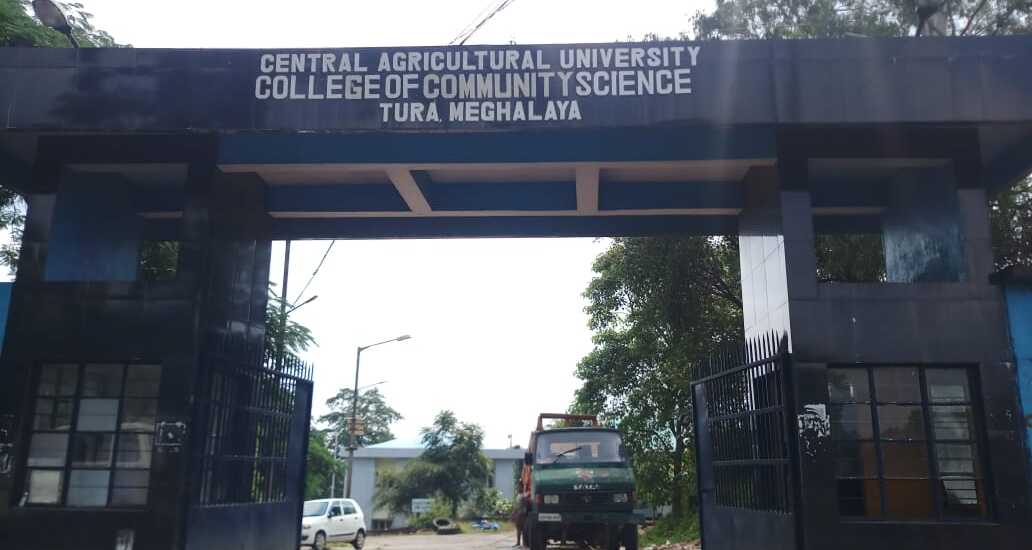 Home – CCS Tura – Official Website